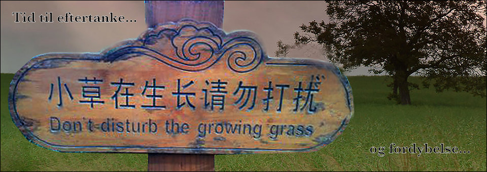 Stefan G. Rasmussen | et almindeligt menneske der har haft et ...